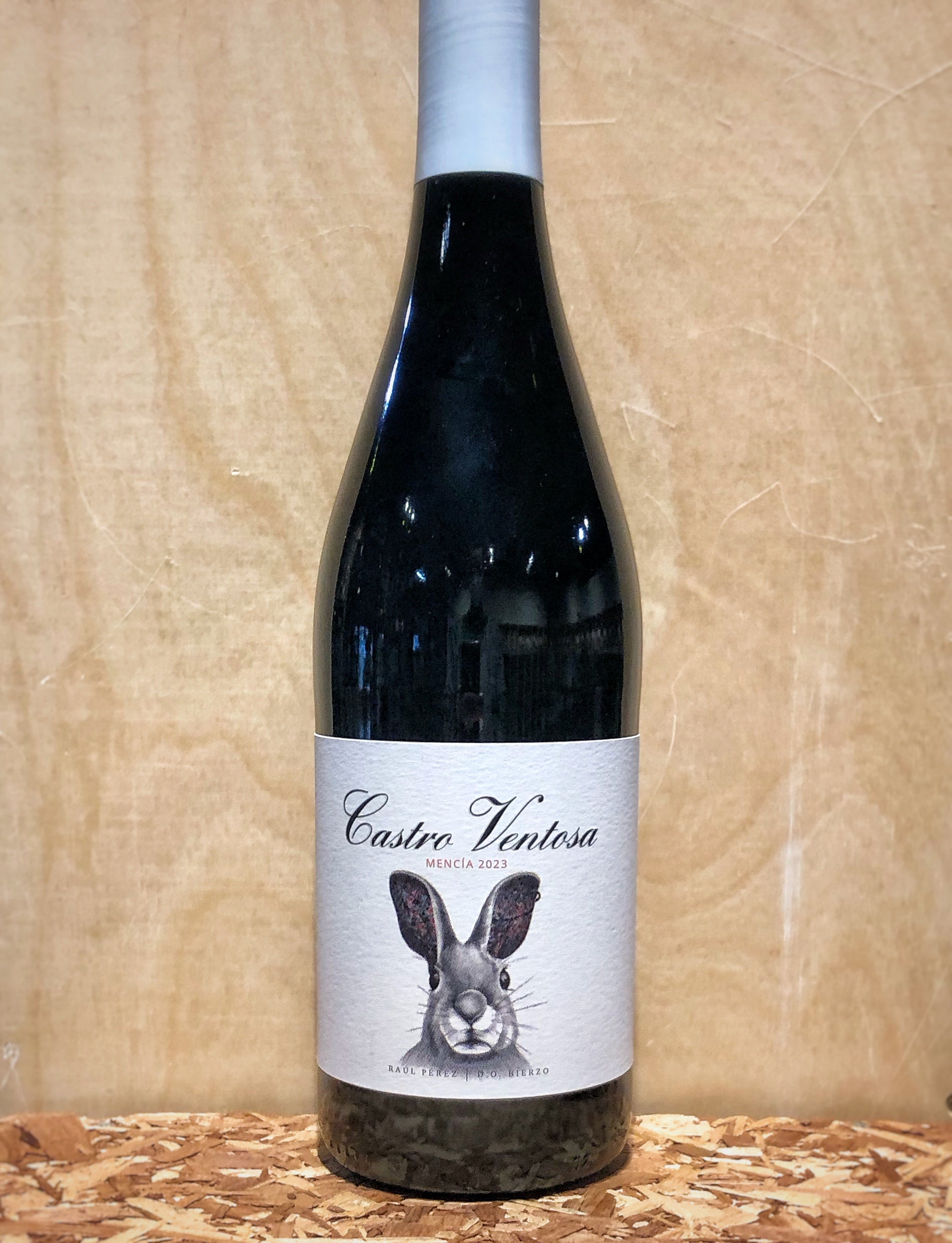 Castro Ventosa Mencia 2023 (Bierzo, Spain) – Everyday Wines