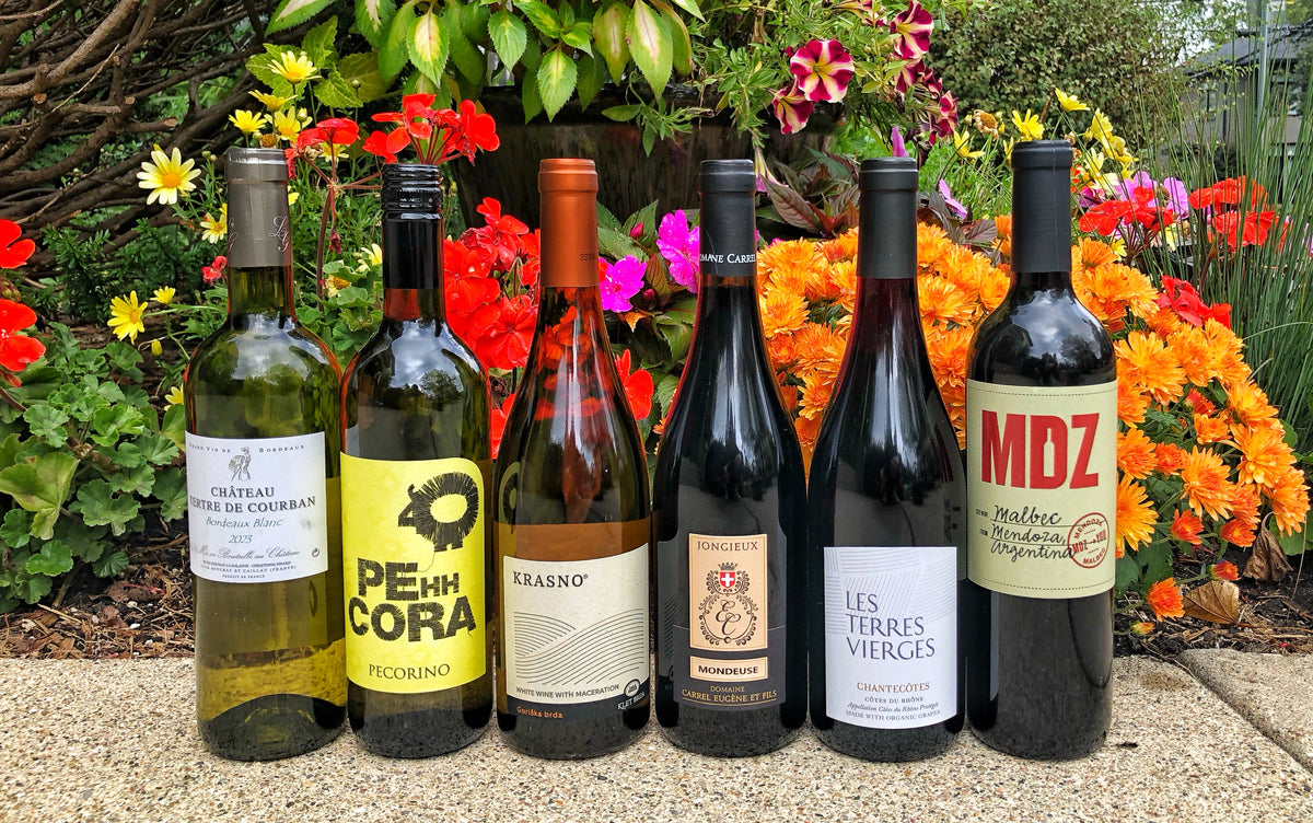 Everyday Wines